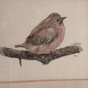 Vintage | Wall Decor | Vintage Artist Signed Framed 4 Bird Collage Wall ...